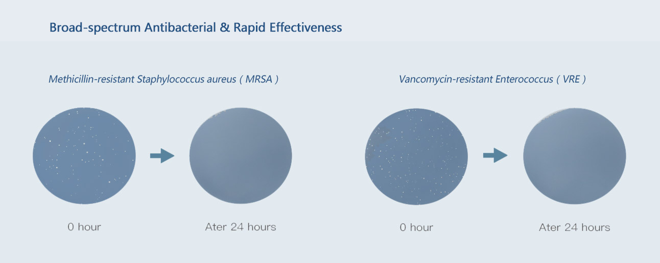 PHMB dressing Antimicrobial Alginate Dressings anti bacteria dressing