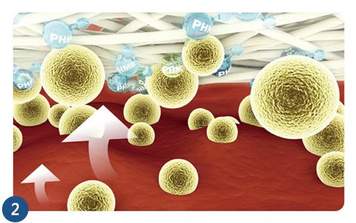 PHMB dressing Antimicrobial Alginate Dressings anti bacteria dressing