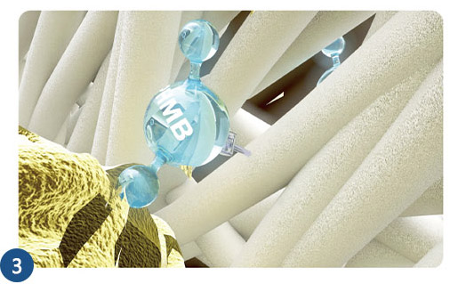 PHMB dressing Antimicrobial Alginate Dressings anti bacteria dressing