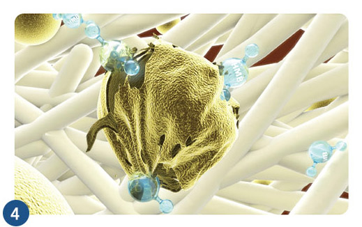 PHMB dressing Antimicrobial Alginate Dressings anti bacteria dressing